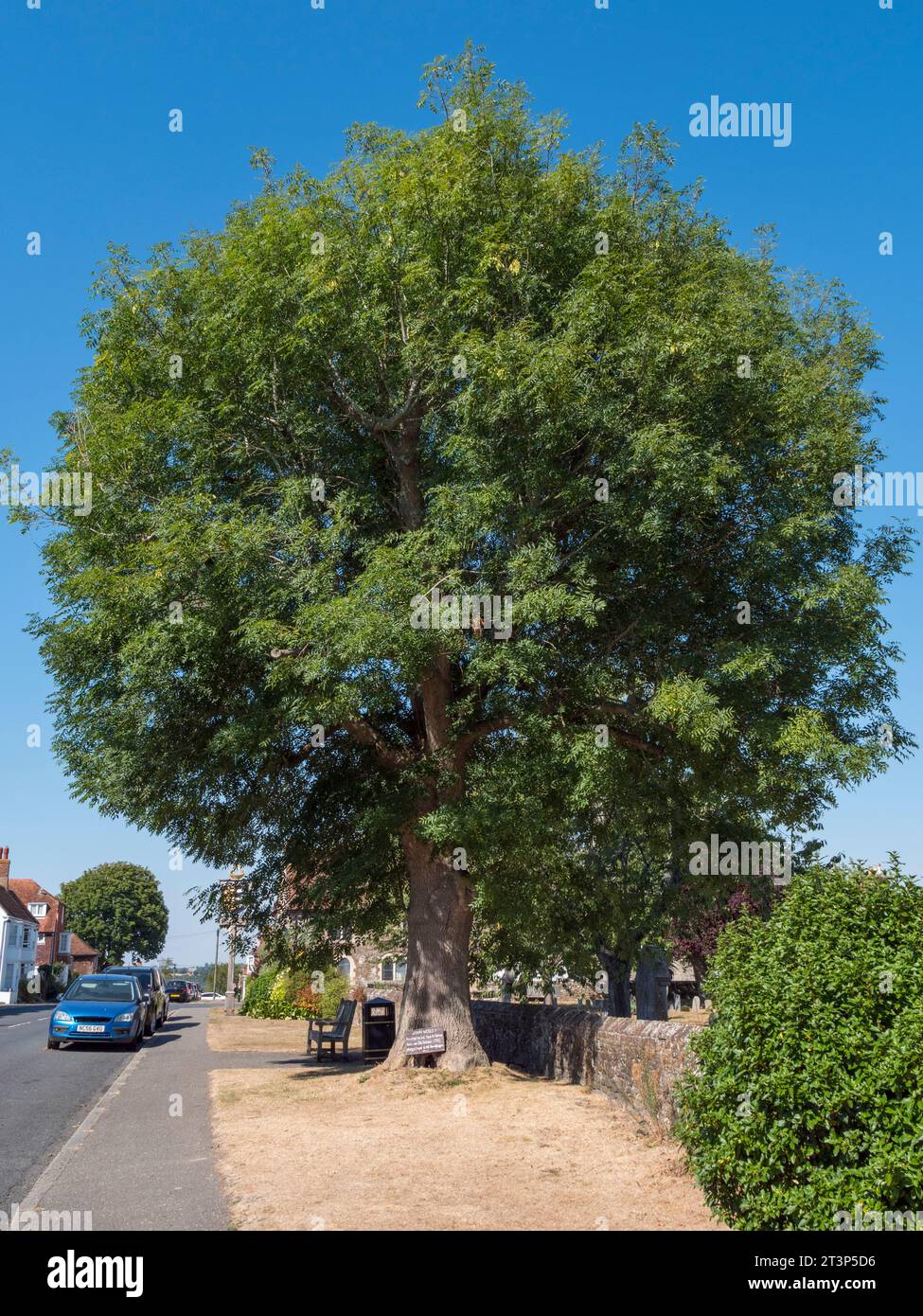 Methodism hi-res stock photography and images - Alamy