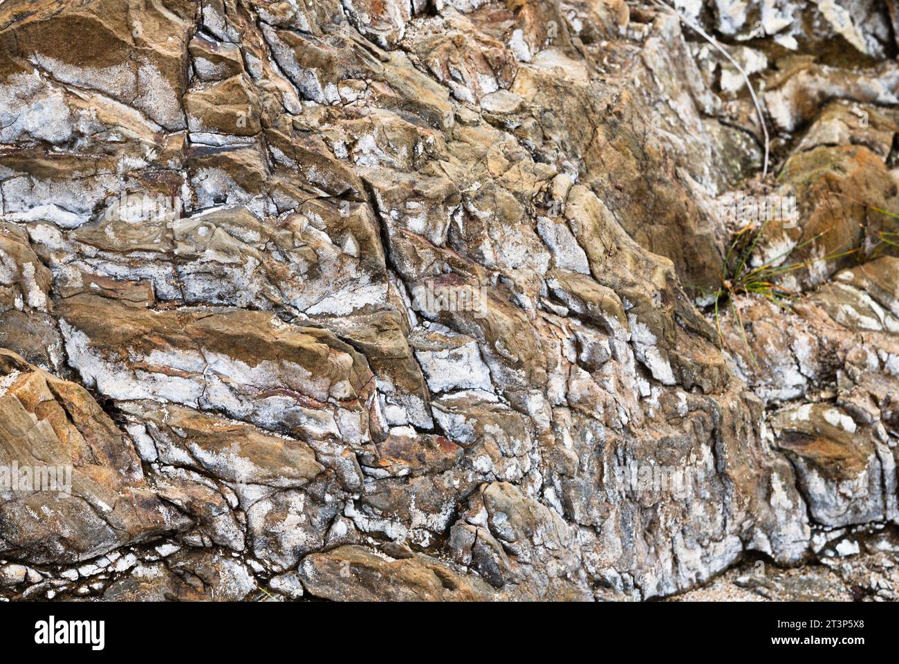 Cracked and worn sandstone rock covered in salt Stock Photo - Alamy