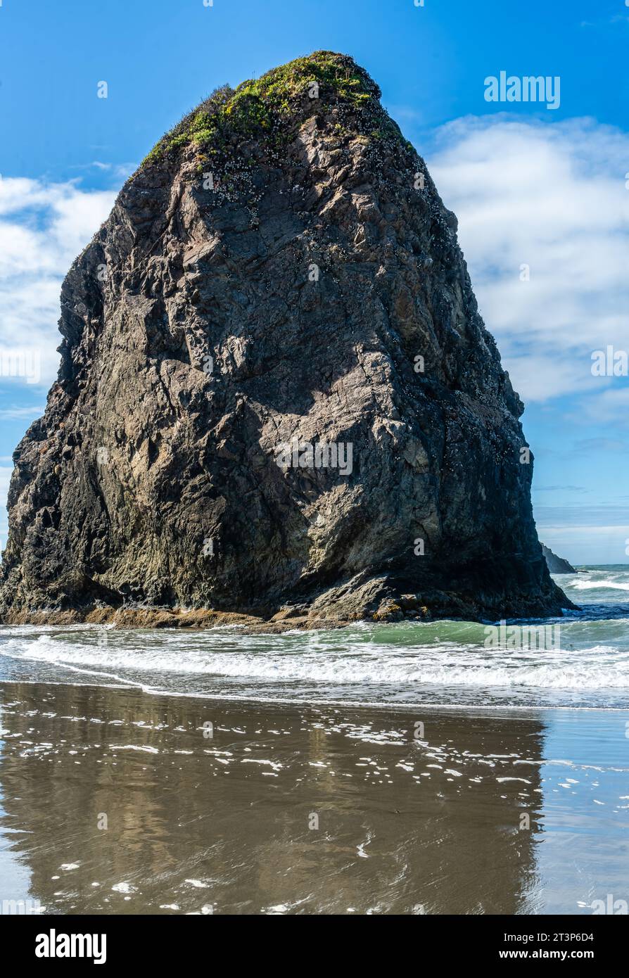 A view of a rock monolith at Meyers Creek Beach in Oregon State Stock ...