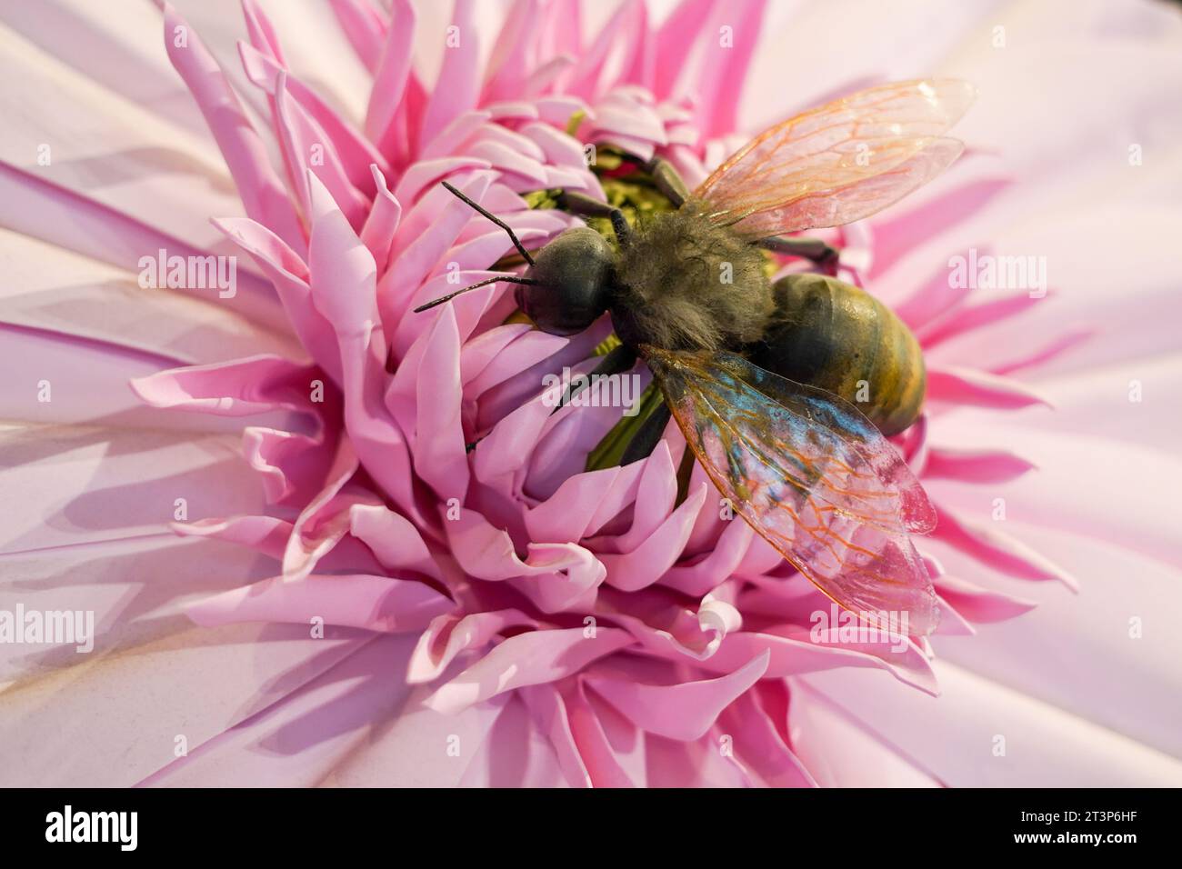 Artificial light insects hi-res stock photography and images - Alamy