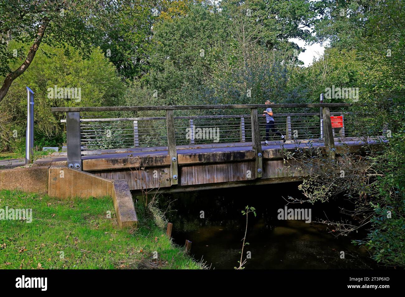 Bridge over Bute Feeder Canal into Bute Park with running woman ...
