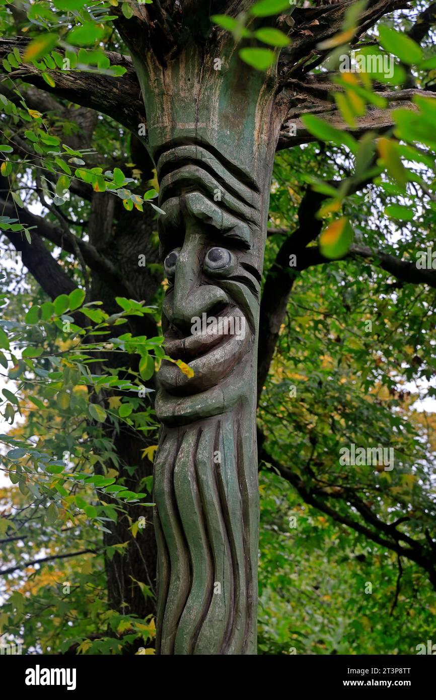 Scary face tree hi-res stock photography and images - Alamy