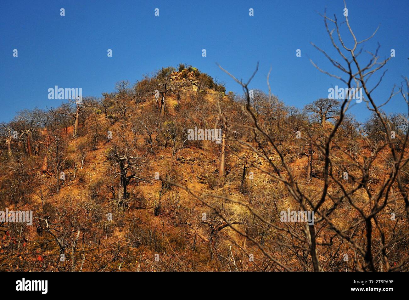 African game ranger hi-res stock photography and images - Alamy