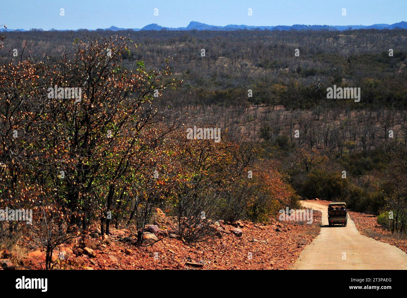 The Makuya Nature Reserve in Limpopo province South Africa offers ...