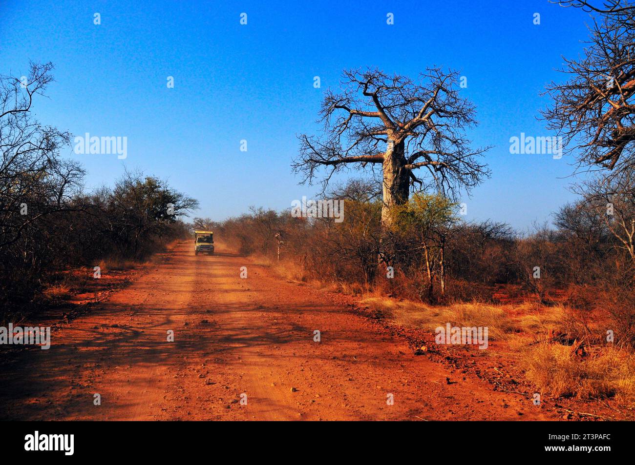 The Makuya Nature Reserve in Limpopo province South Africa offers ...