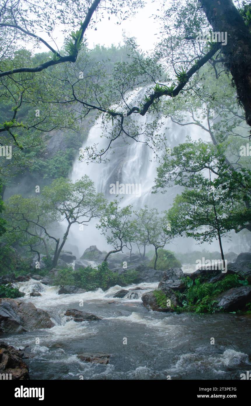 In rain season. Thailand had strong rainny in the forest . Then river ...