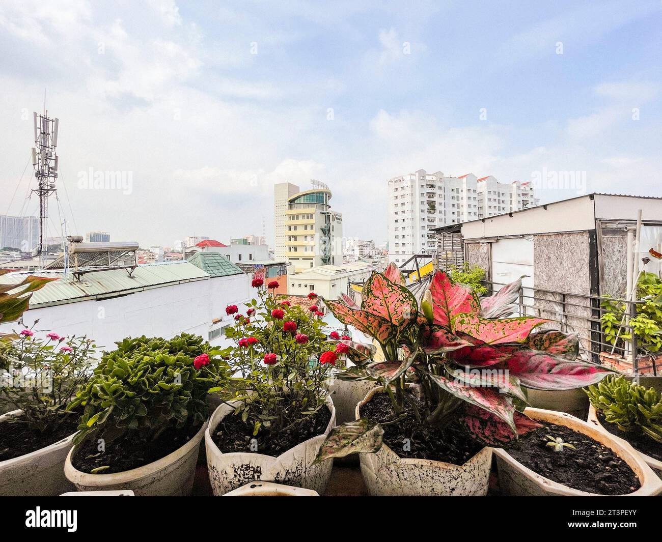 Vietnam, Saigon, Ho Chi Minh ville, landscape Stock Photo - Alamy