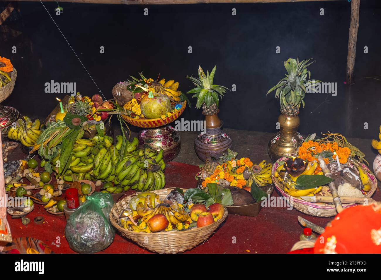 Chhath Puja, Indian hindu female devotee performing rituals of chhath ...