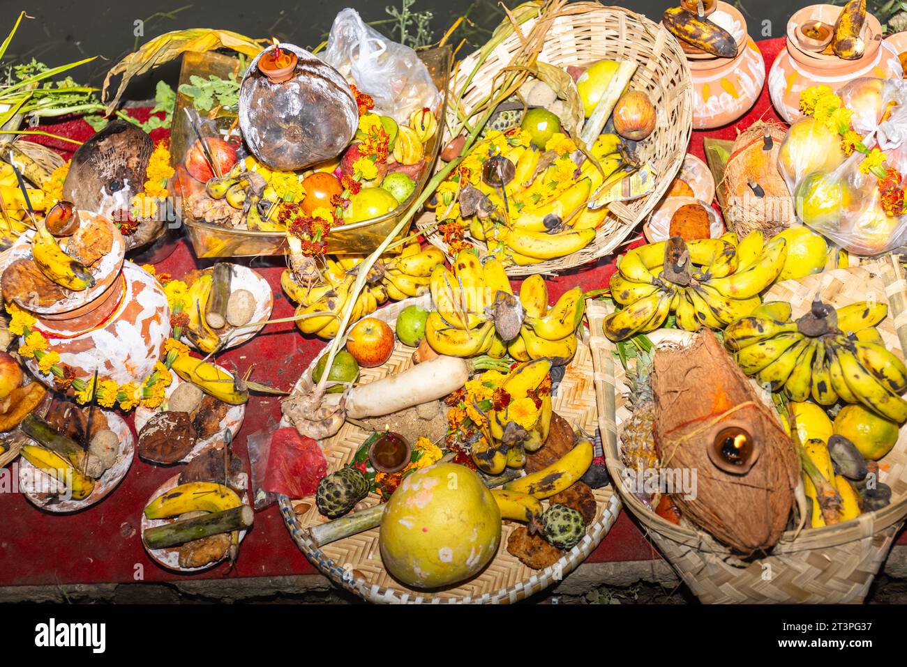 Chhath Puja, Indian hindu female devotee performing rituals of chhath ...