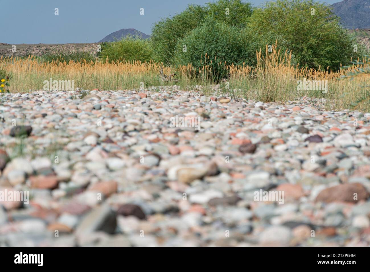 The gravel left on the riverbed Stock Photo - Alamy
