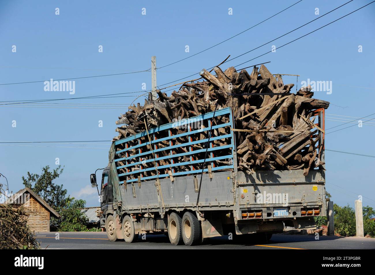 Laos, deforestation LAO PDR, Oudomxay, Khmu village Houyta, transport ...
