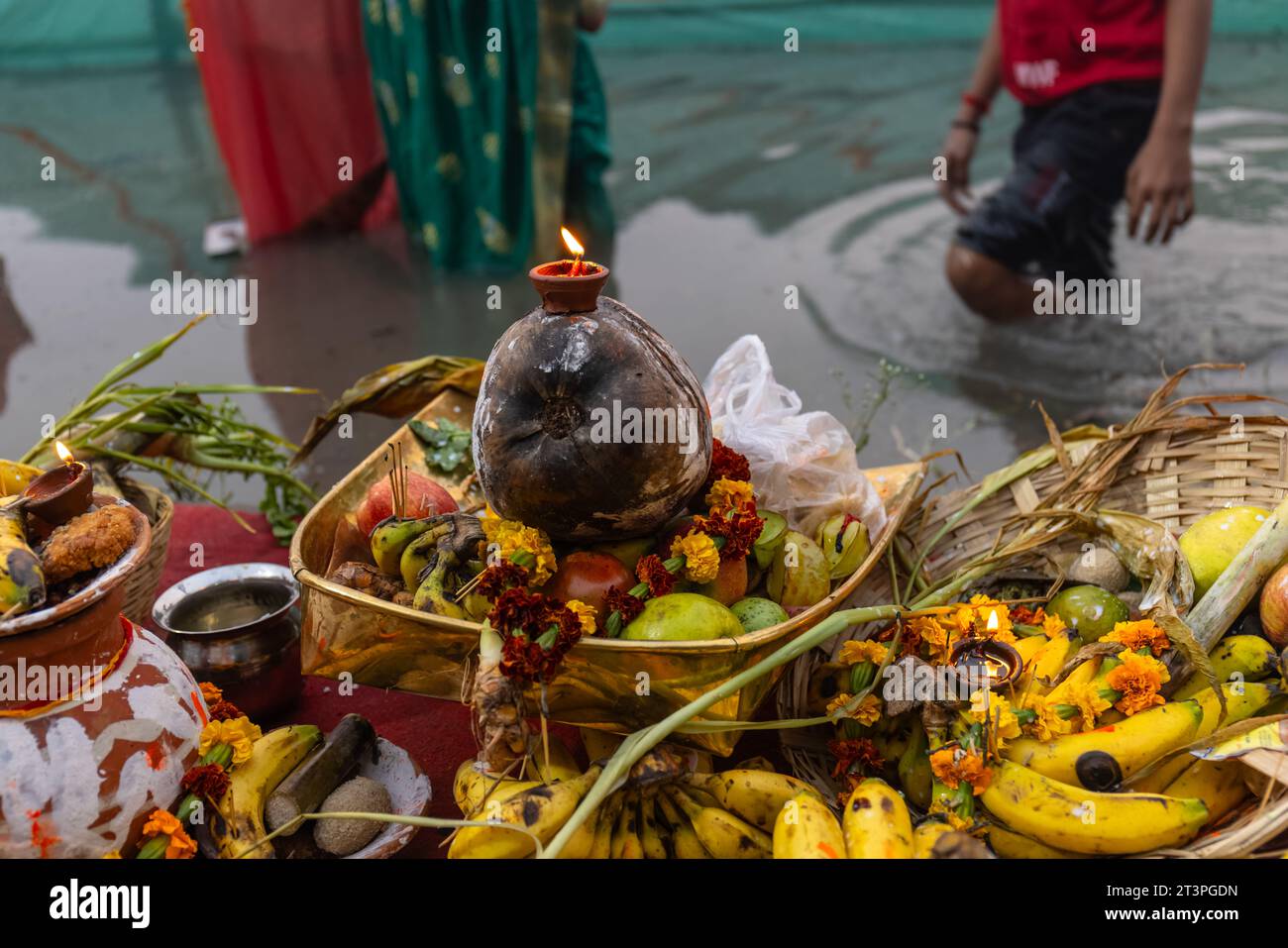 Chhath Puja, Indian hindu female devotee performing rituals of chhath ...