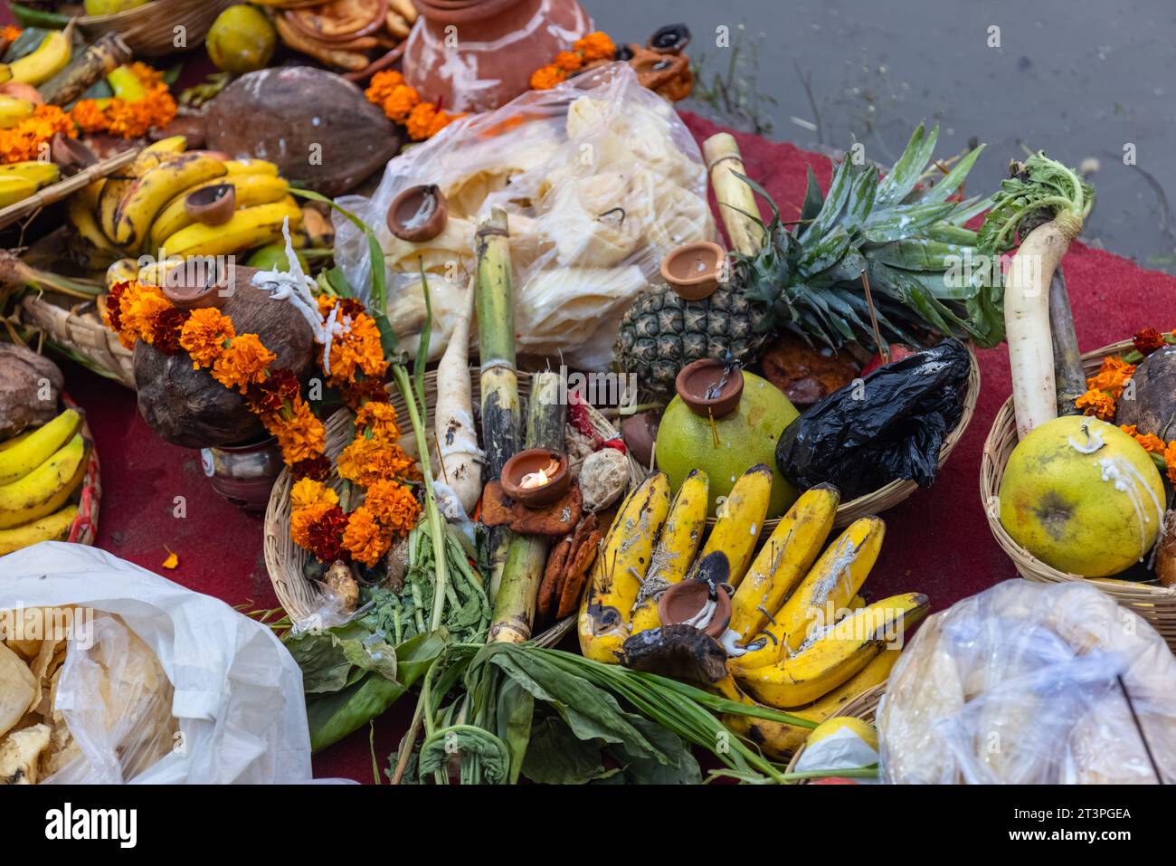 Chhath Puja, Indian hindu female devotee performing rituals of chhath ...