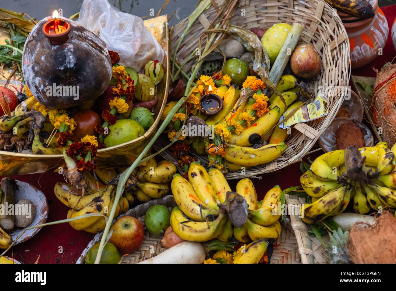 Chhath Puja, Indian hindu female devotee performing rituals of chhath ...