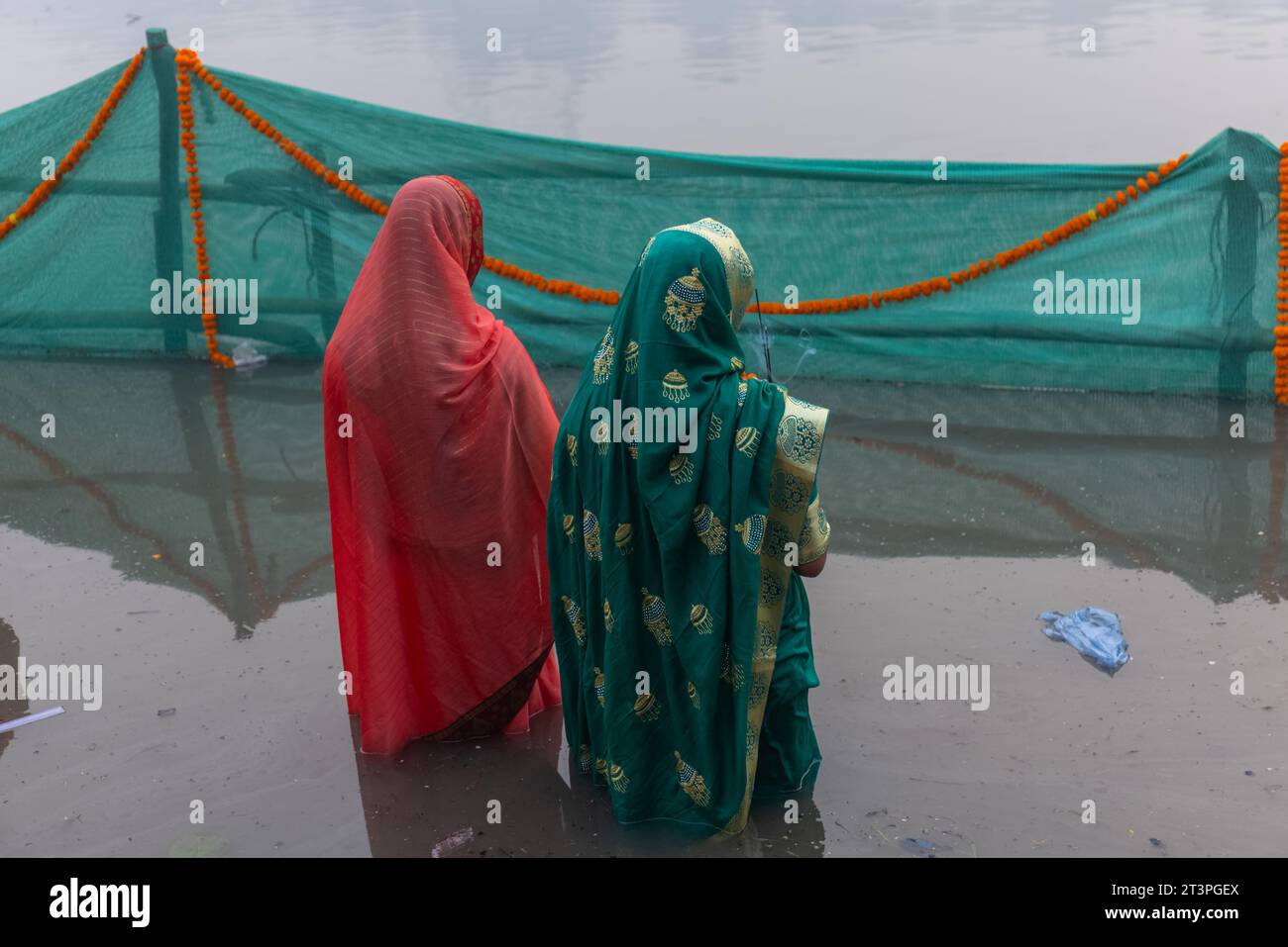 Chhath Puja, Indian hindu female devotee performing rituals of chhath ...