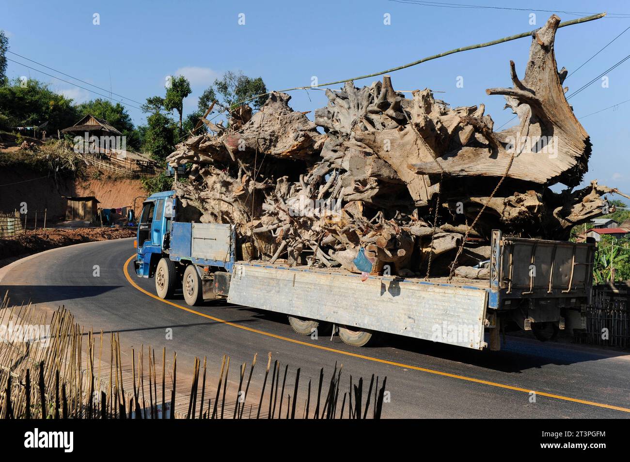 Laos, deforestation LAO PDR, Oudomxay, Khmu village Houyta, transport ...