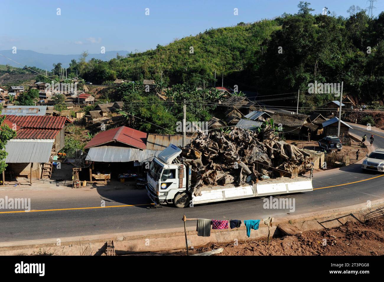 Laos, deforestation LAO PDR, Oudomxay, Khmu village Houyta, transport ...