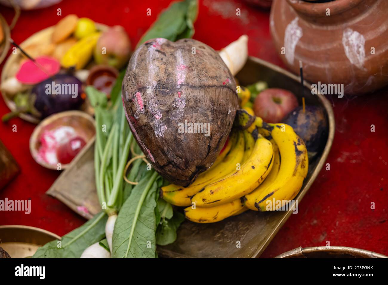 Chhath Puja, Indian hindu female devotee performing rituals of chhath ...