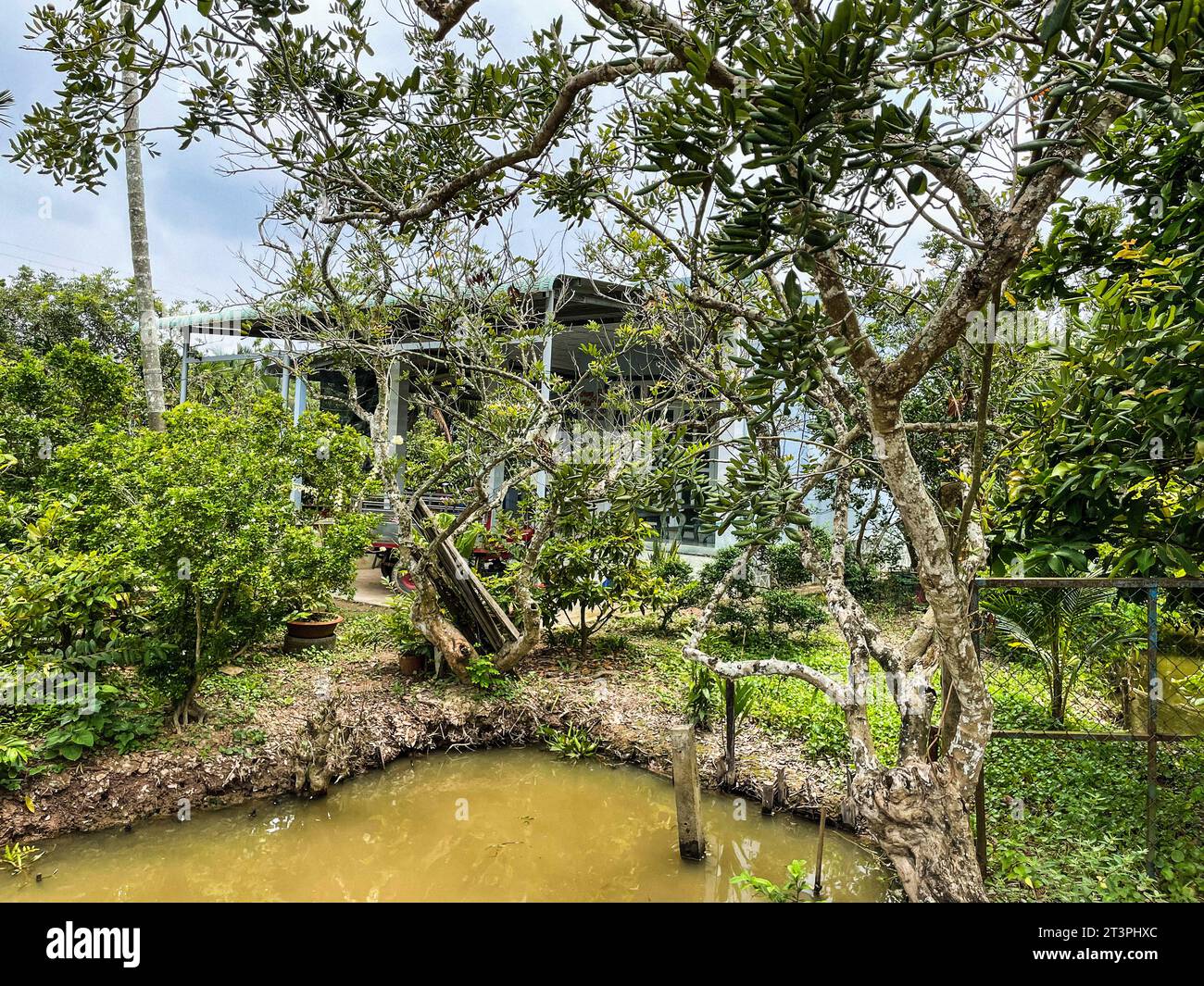 Vietnam, Mekong delta, landscape Stock Photo - Alamy