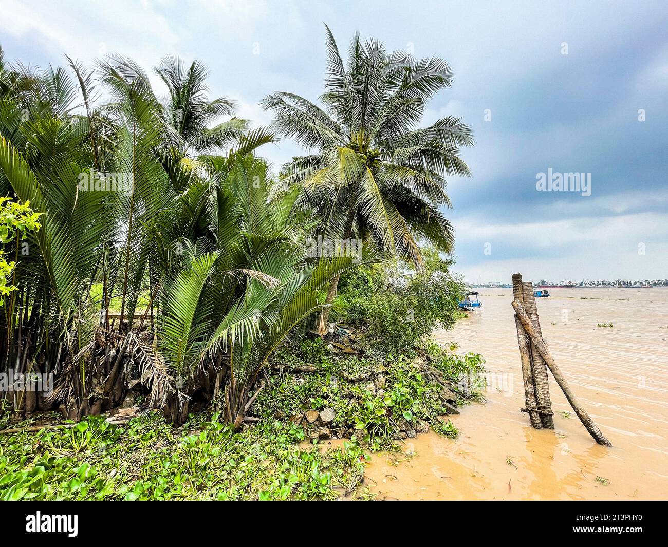 Vietnam, Mekong delta, landscape Stock Photo - Alamy