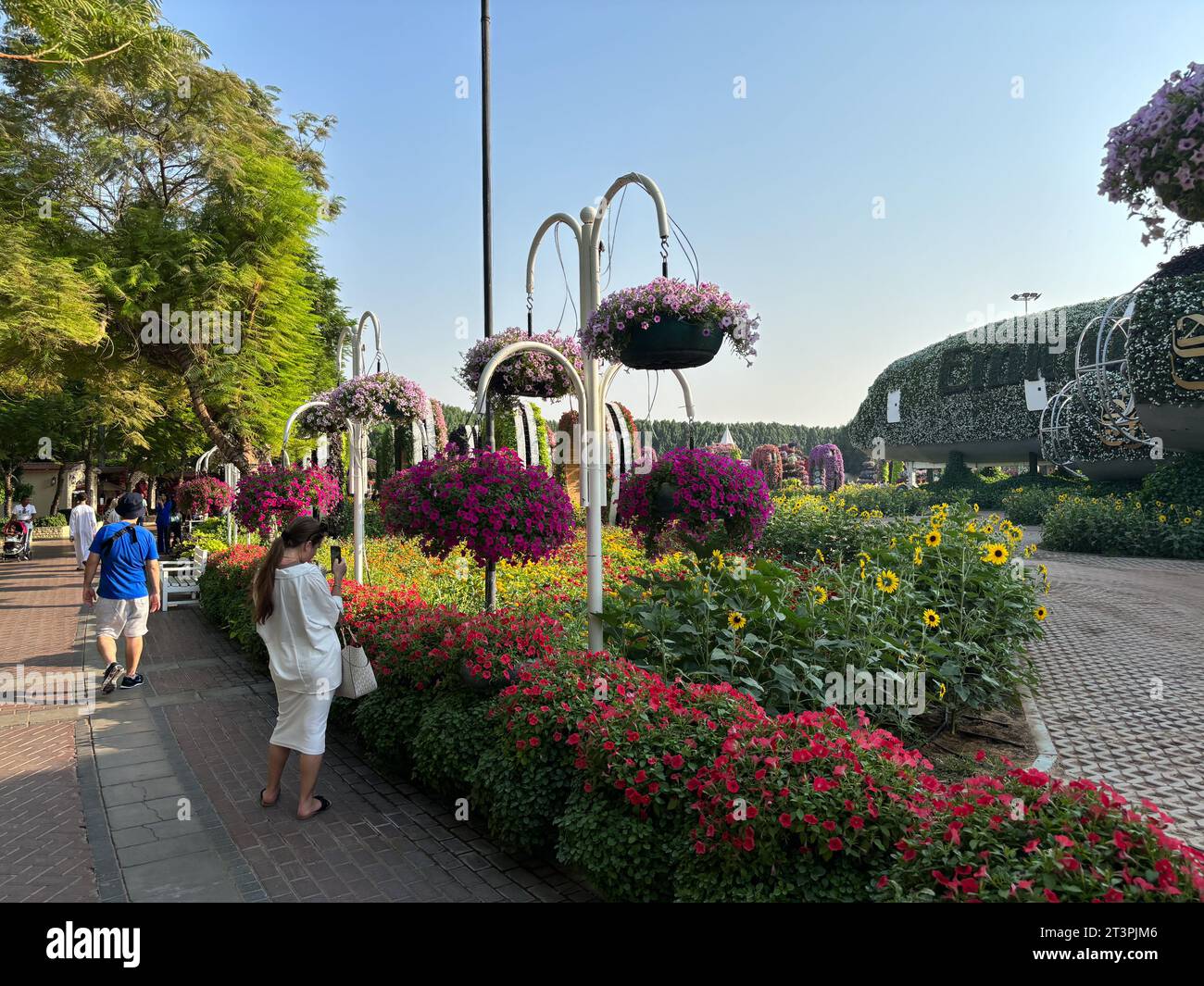 United Arab Emirates, Dubai, 2023-10-19. Miracle Garden Dubai is a ...