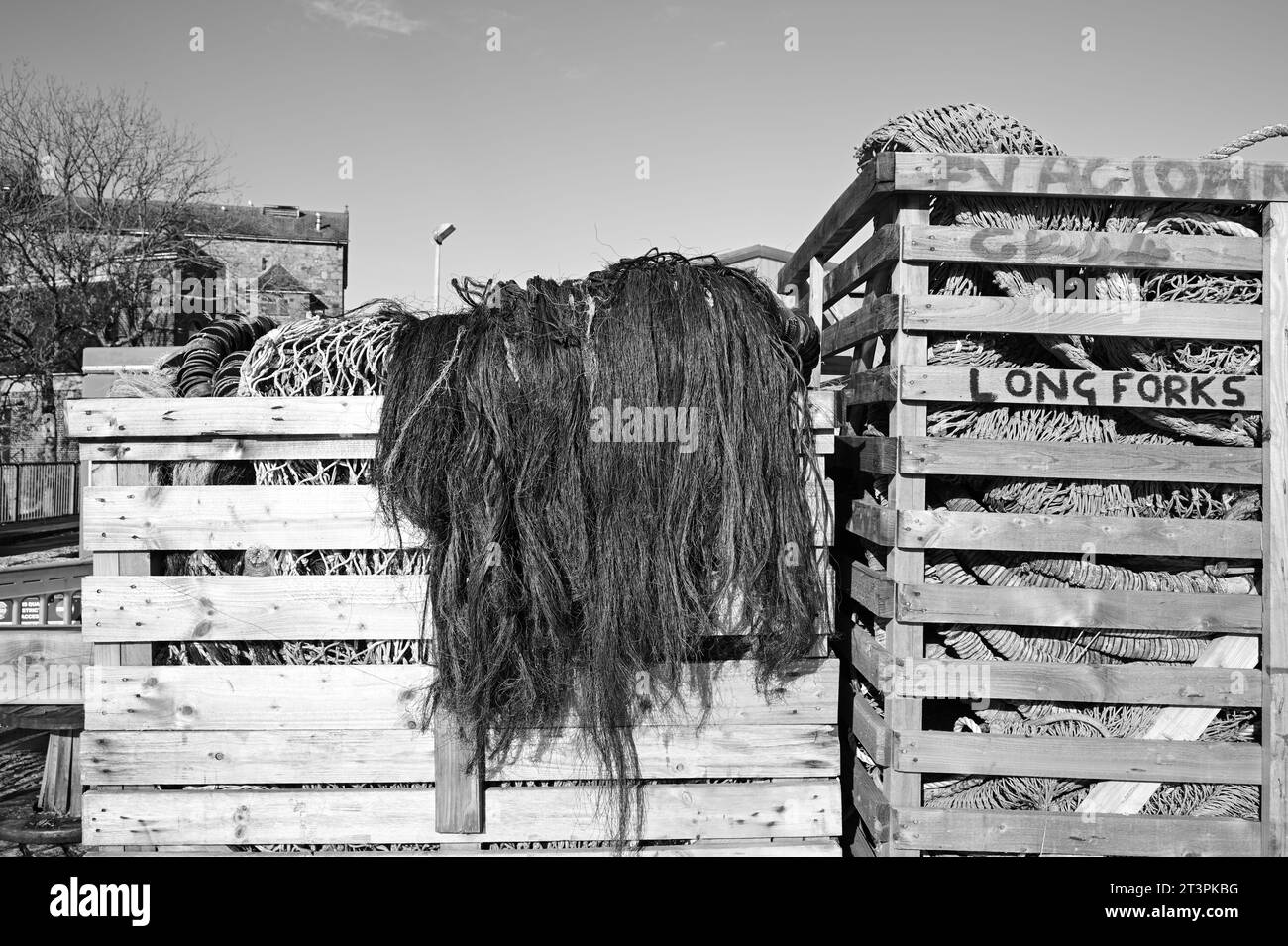 Crates of fish Black and White Stock Photos & Images - Alamy