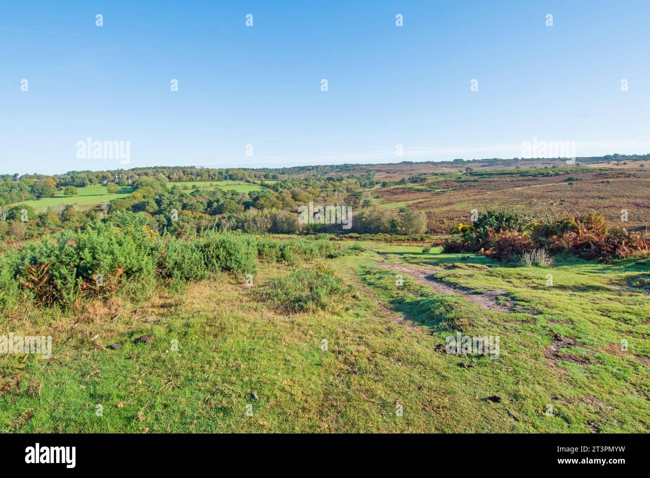 An Autumn morning view across the open spaces and fields of Ashdown ...