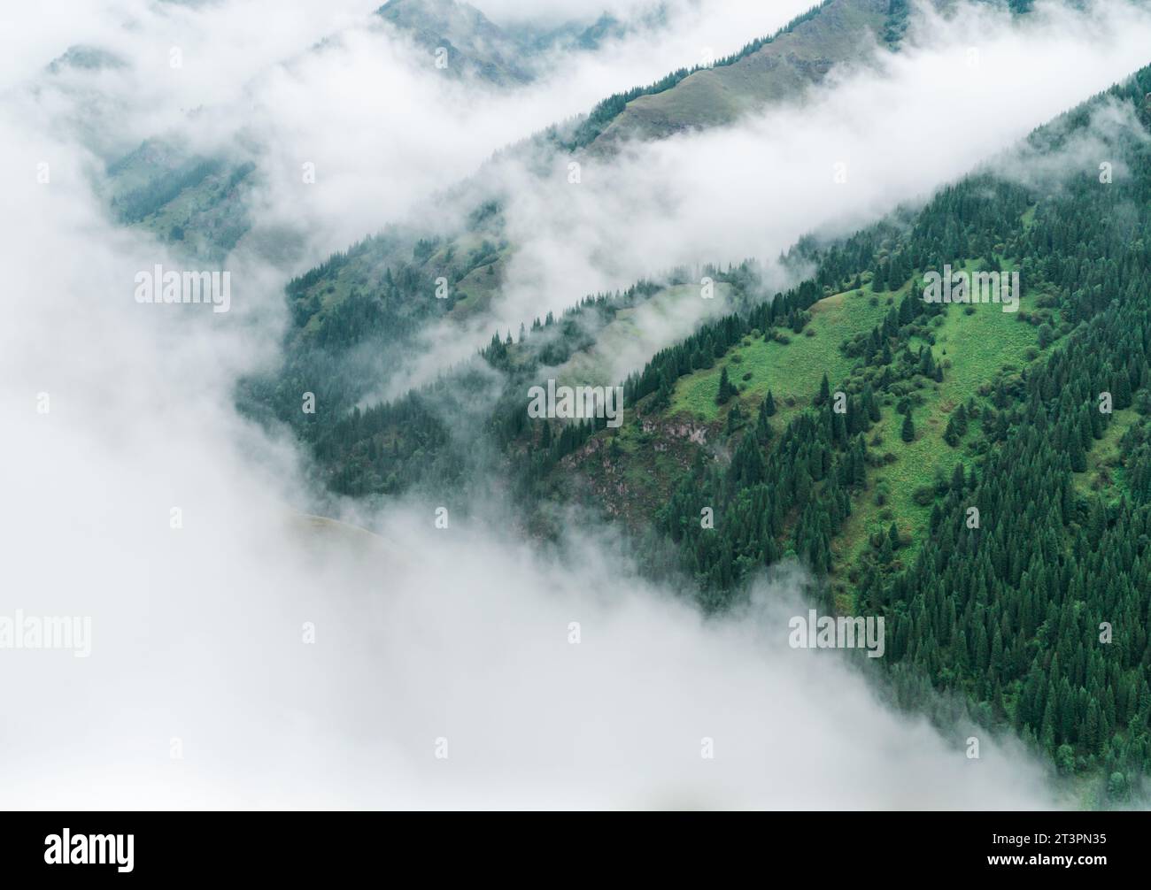 Aerial photography of the hazy primitive forest amidst clouds and mist ...