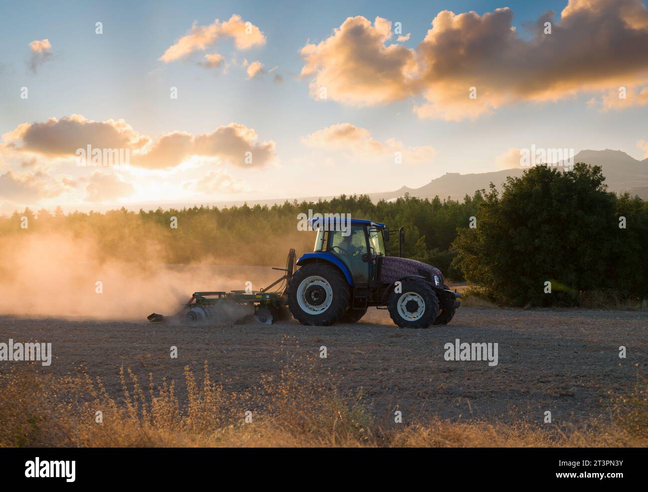Seed field preparation with tractor. Improvement of the land with ...