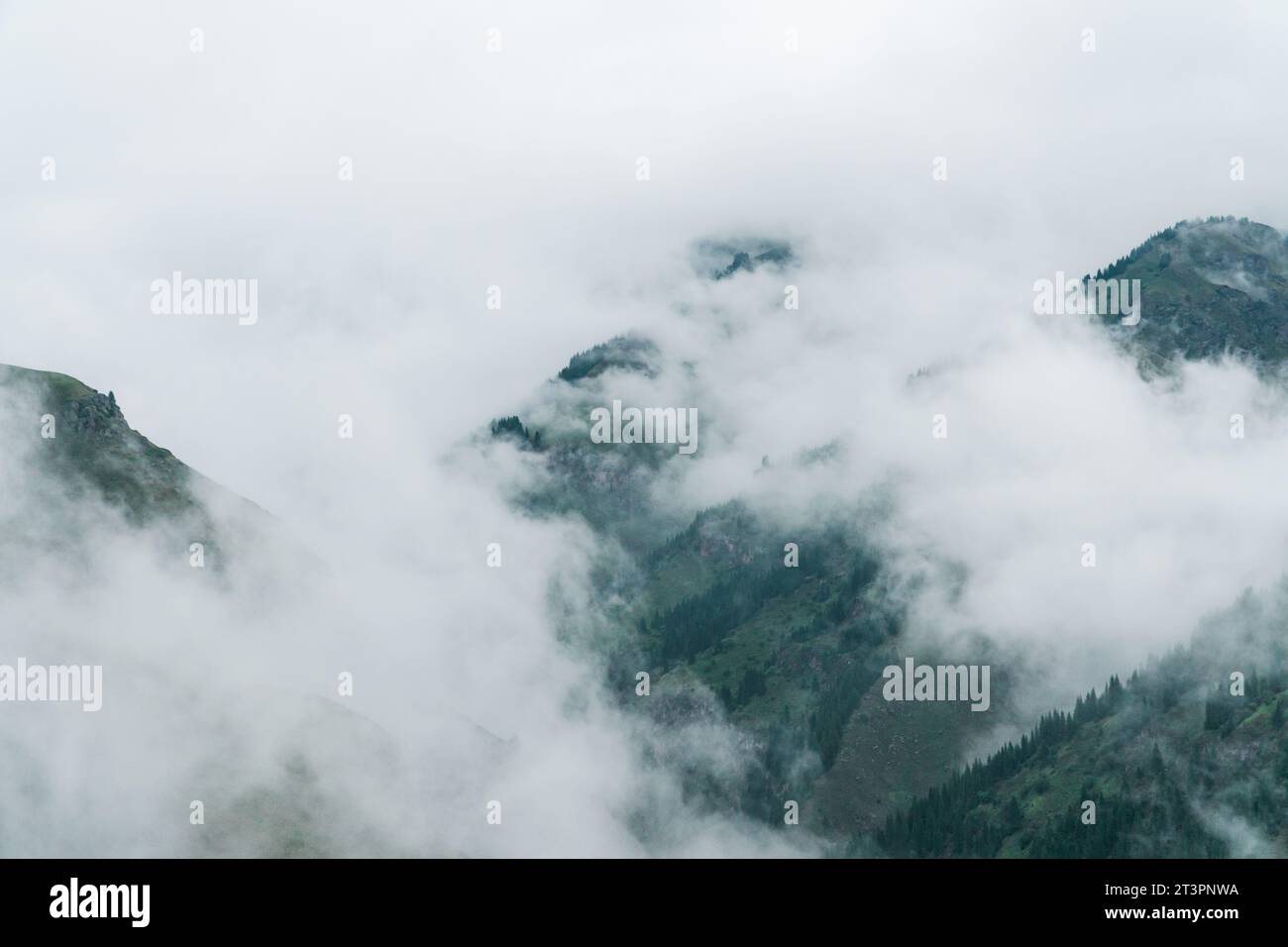 Aerial photography of the hazy primitive forest amidst clouds and mist ...