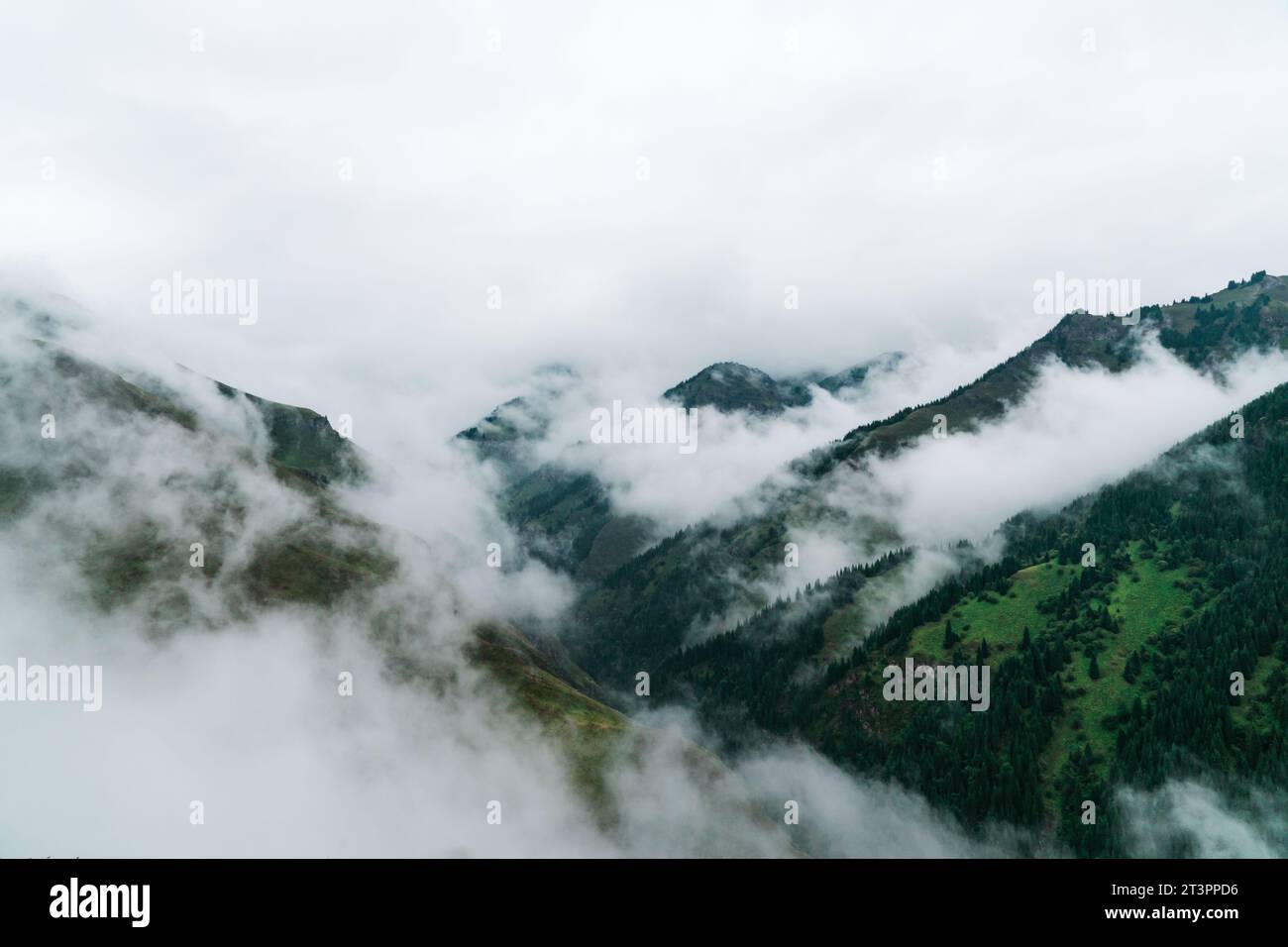 Aerial photography of the hazy primitive forest amidst clouds and mist ...