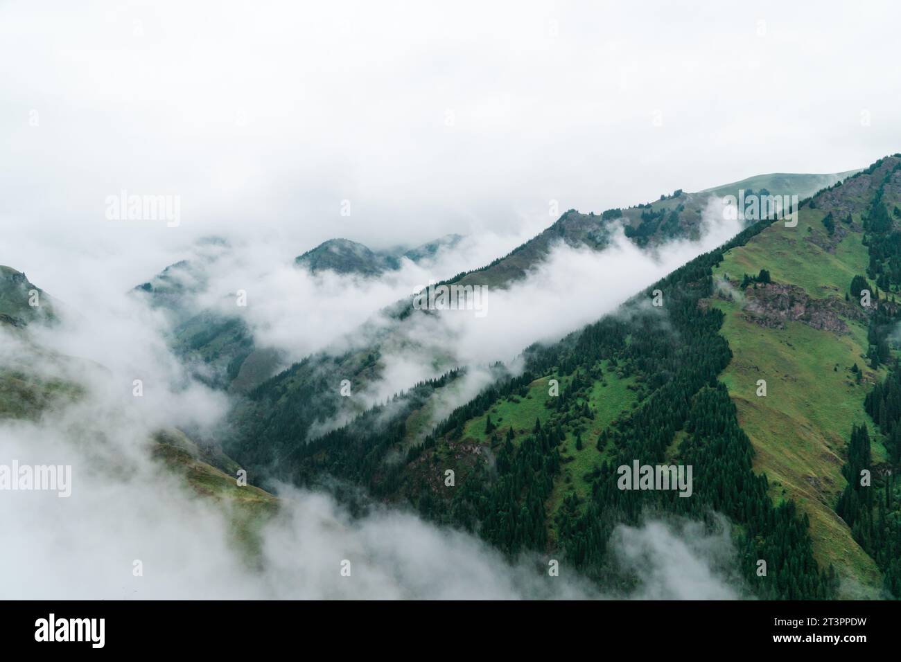 Aerial photography of the hazy primitive forest amidst clouds and mist ...