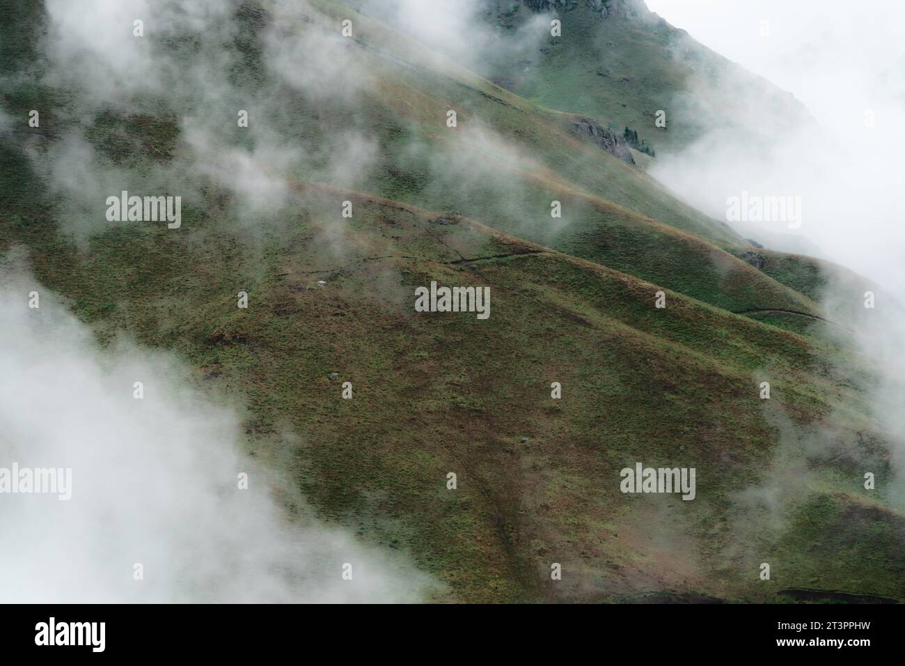 Aerial photography of the hazy primitive forest amidst clouds and mist ...