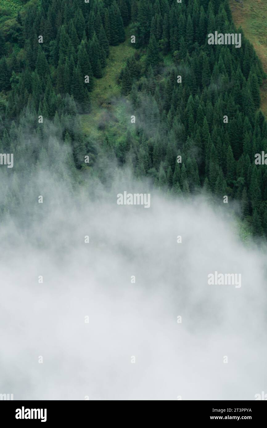 Aerial photography of the hazy primitive forest amidst clouds and mist ...