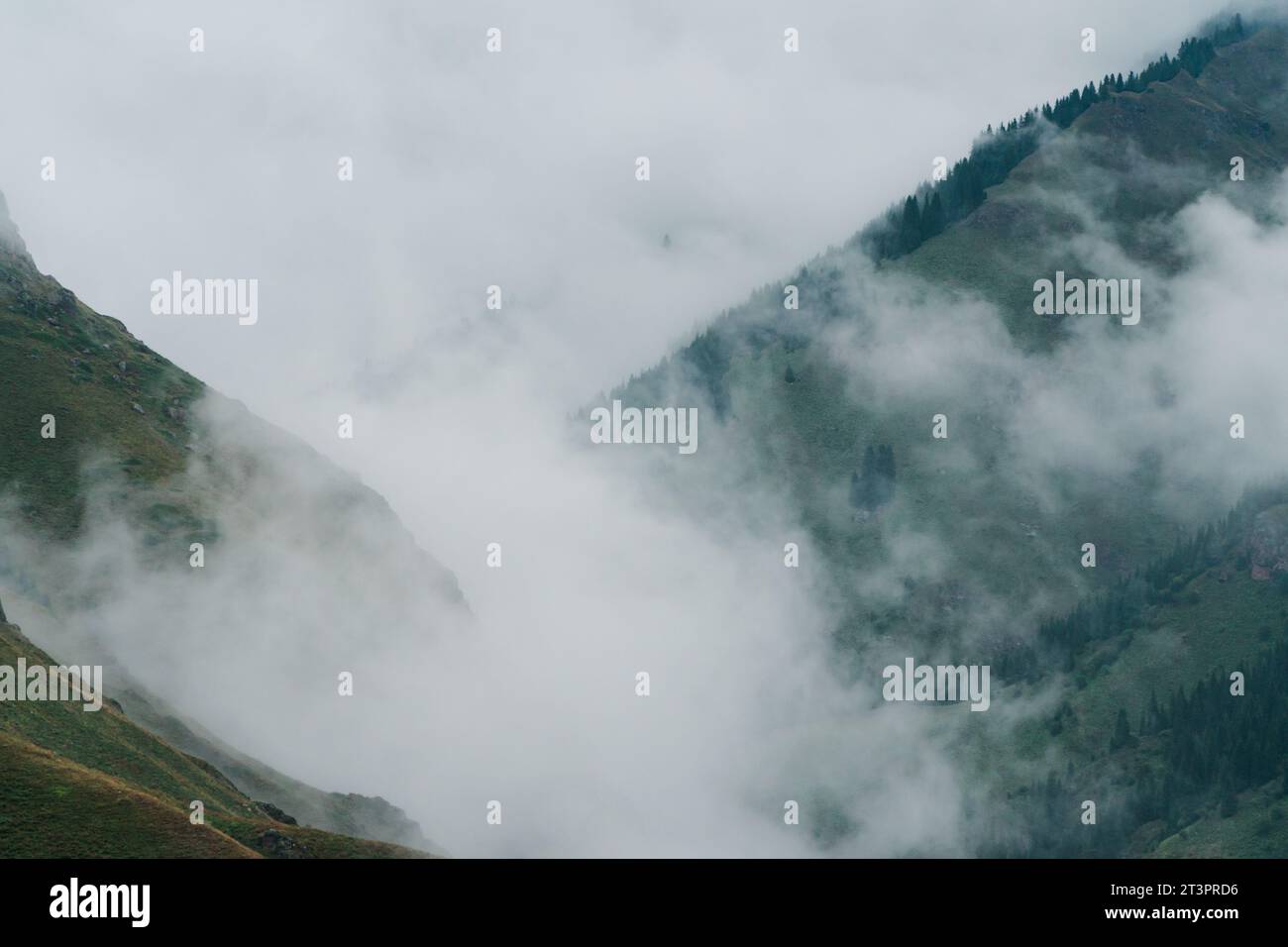 Aerial photography of the hazy primitive forest amidst clouds and mist ...