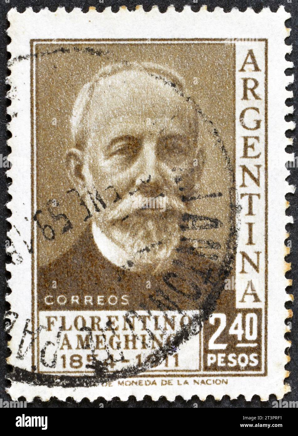 Cancelled postage stamp printed by Argentina, that shows portrait of ...