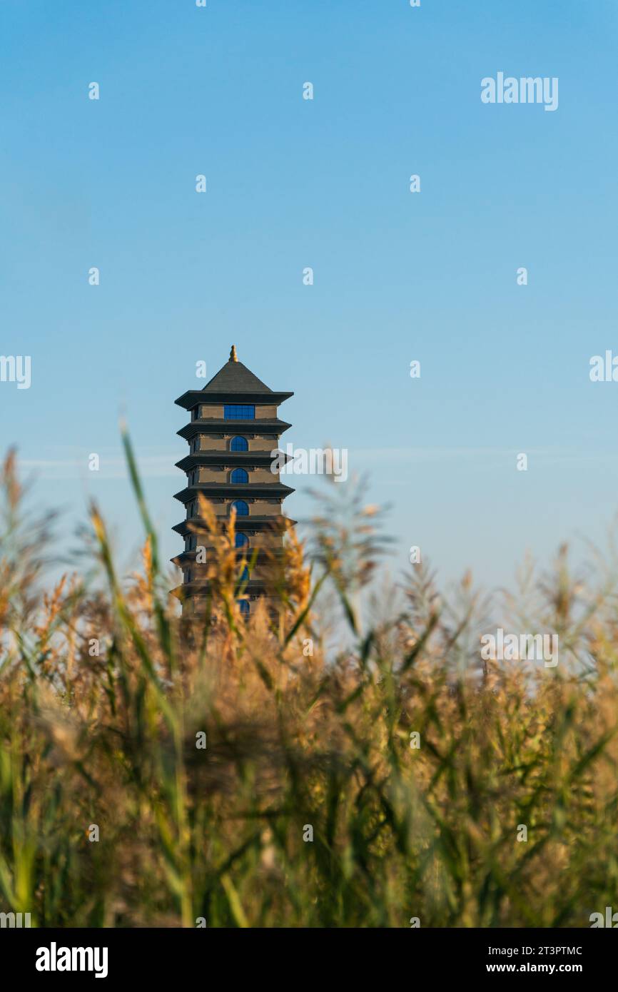 Long Focus Shooting of Towers Stock Photo - Alamy