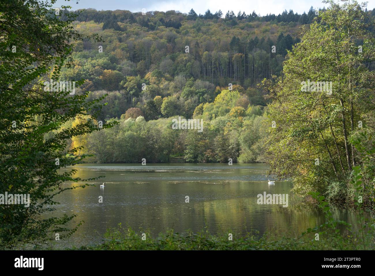 Echternach lake hi-res stock photography and images - Alamy