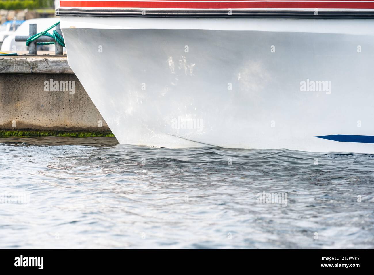 Compact fish hi-res stock photography and images - Alamy