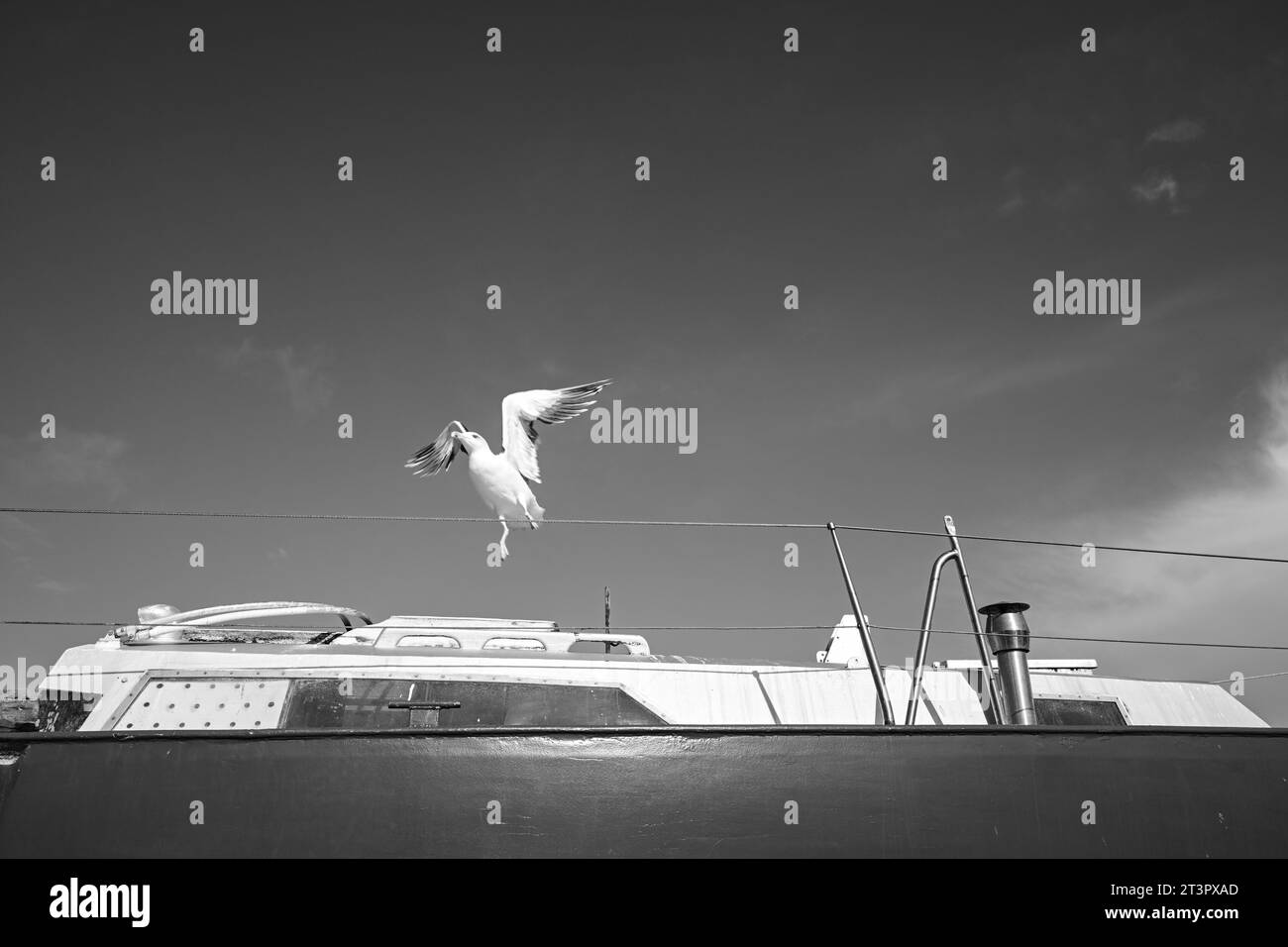 NEWLYN HARBOUR FISH MARKET BRINGING HOME THE CATCH Stock Photo - Alamy
