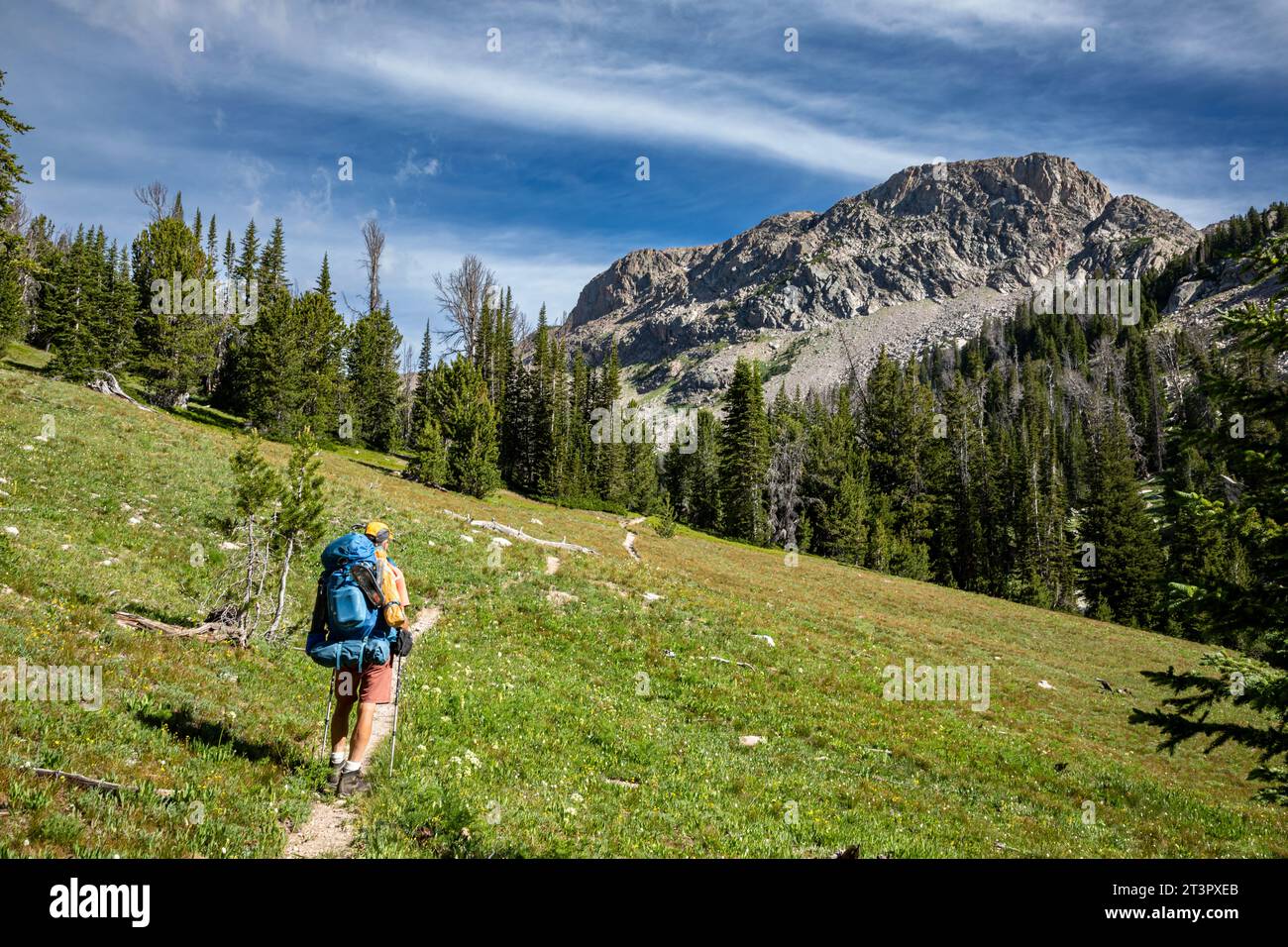WY05369-00...WYOMING - Hiking through meadows on his way to Porcupine ...