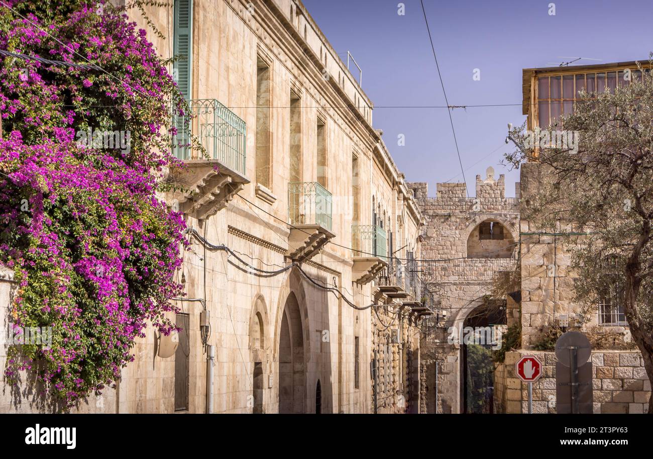 The beautiful purple flowers on the wall of Saint Anne Orthodox ...