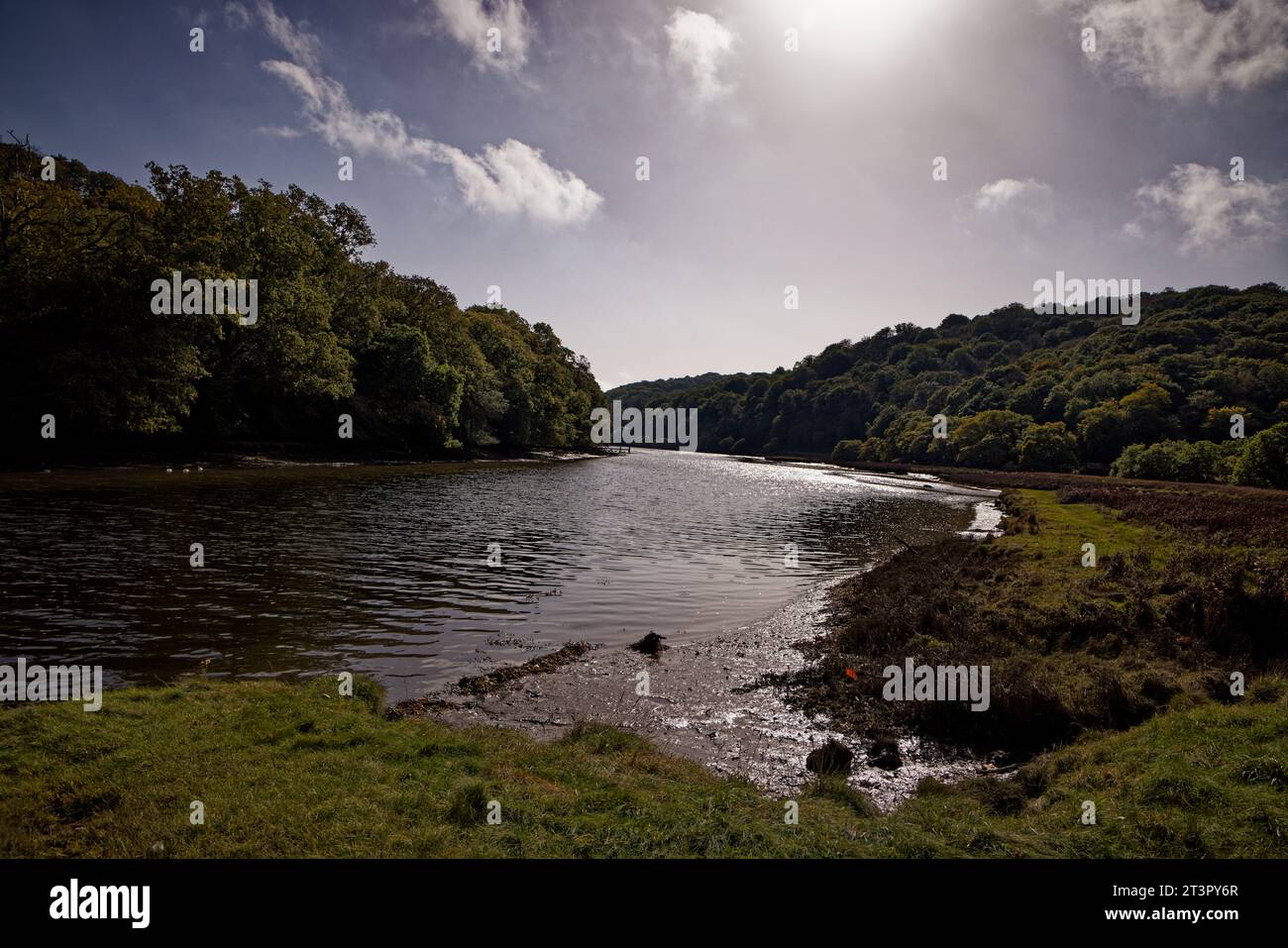 River Fowey, Cornwall Stock Photo - Alamy