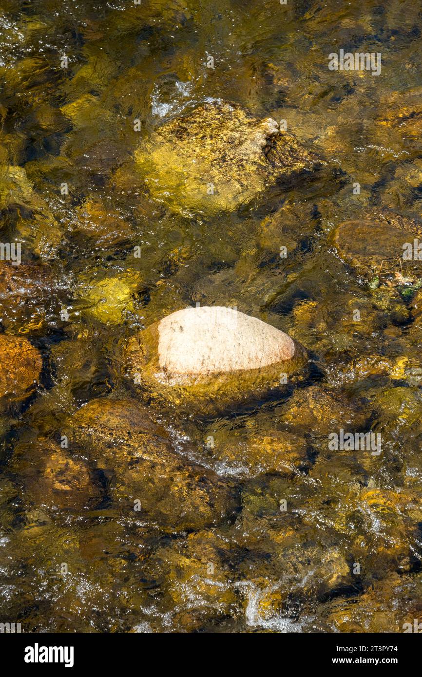 Bottom of a river hi-res stock photography and images - Alamy
