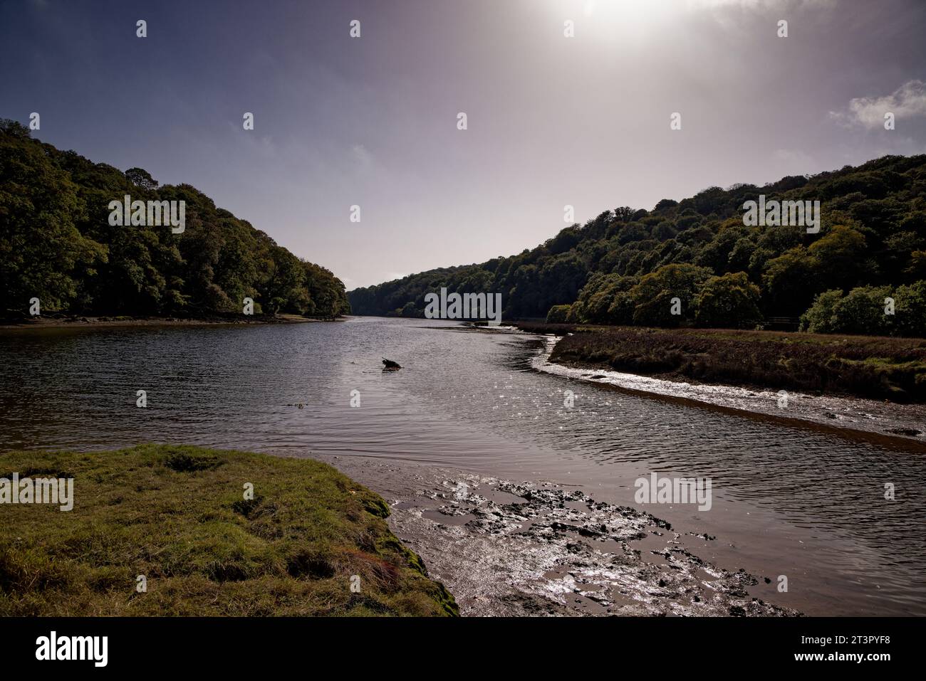 River Fowey, Cornwall Stock Photo - Alamy