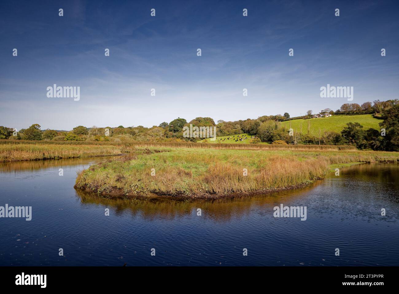 River Fowey near Lostwithiel, Cornwall Stock Photo - Alamy