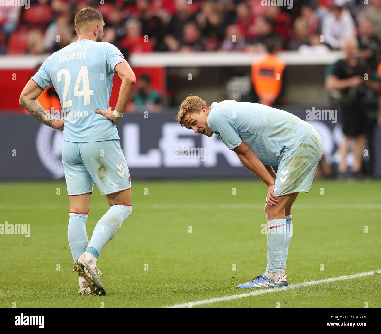 Leverkusen, Deutschland. 08th Oct, 2023. firo: 08.10.2023, soccer ...