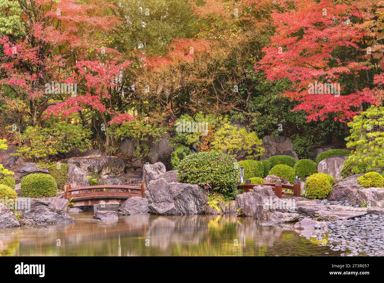 fukuoka, kyushu - dec 07 2022: Wooden bridges crossing the Japanese Ohori Garden among a placid ...