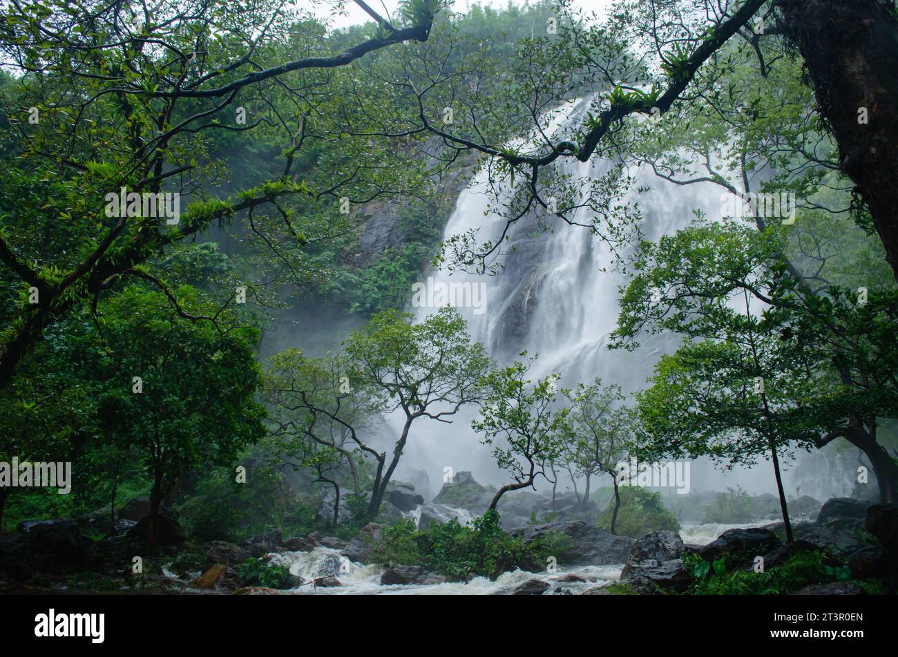 In rain season. Thailand had strong rainny in the forest . Then river ...