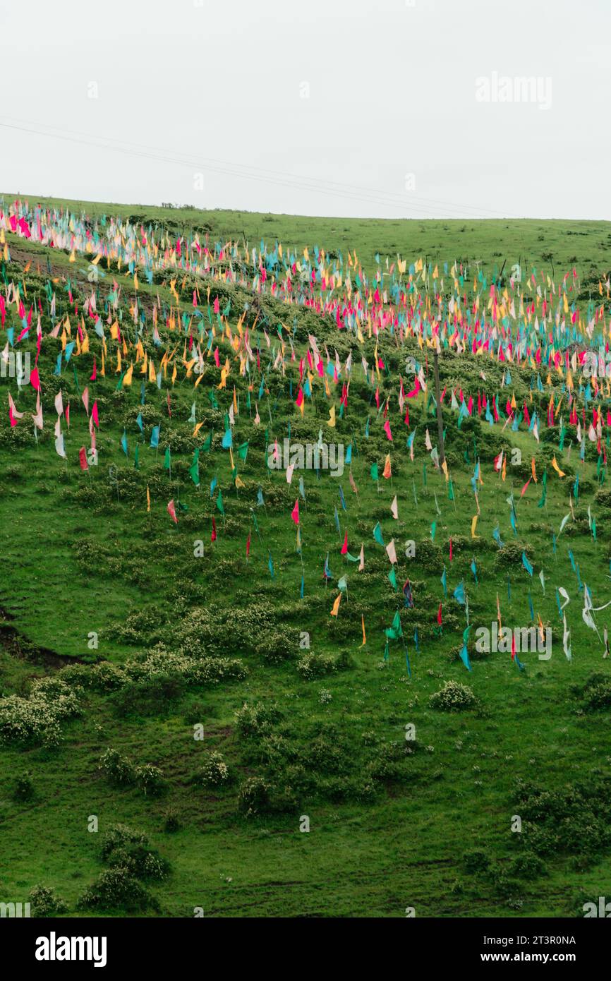 Buddhist prayer flags fluttering on the grassland Stock Photo - Alamy